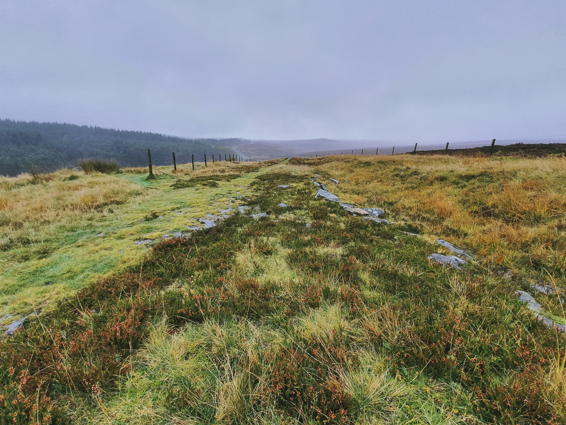 Wheeldale Roman Road - Places to Visit - Self Catering in Yorkshire