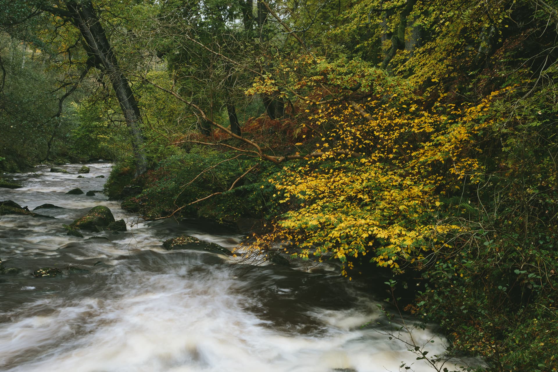 A Walk to Thomason Foss Waterfalls - Self Catering Holiday Cottages in ...