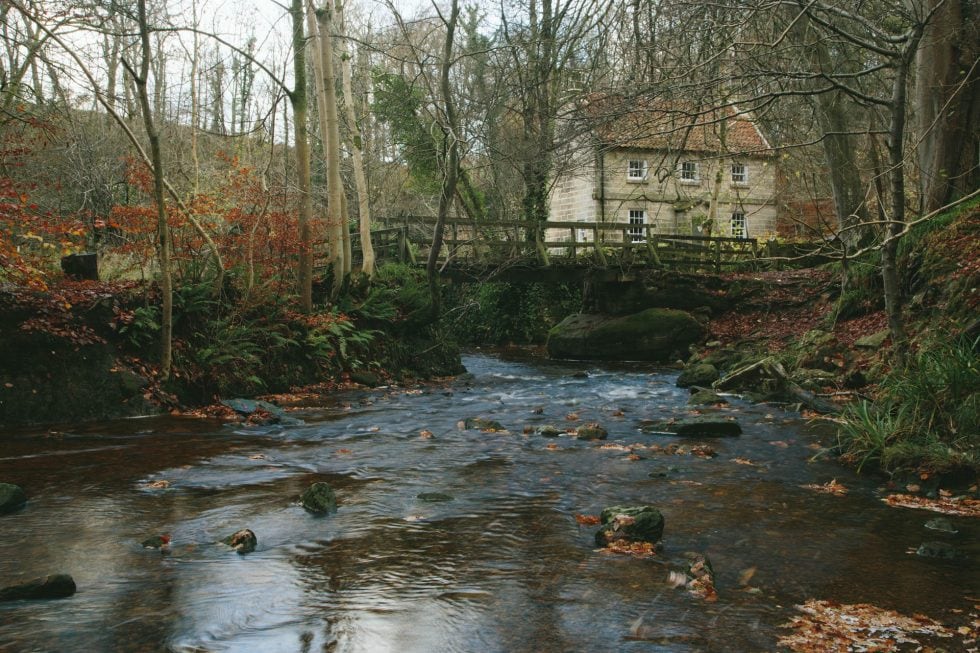 Exploring Falling Foss: A Hidden Gem Near Whitby