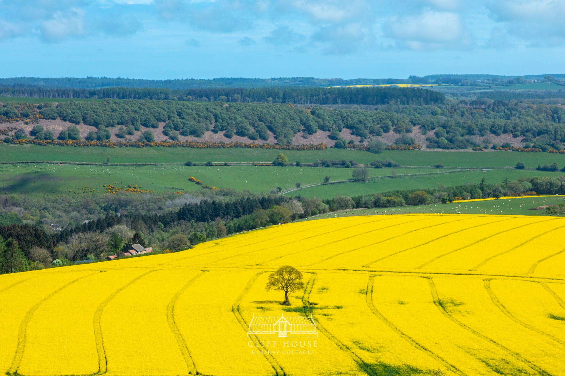 Secret Life of the Forest - Self Catering Holiday Cottages in Yorkshire
